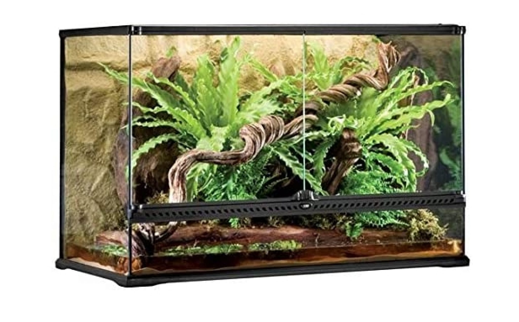 12 Best Bearded Dragon Tanks with Reviews | Pet Care Advisors